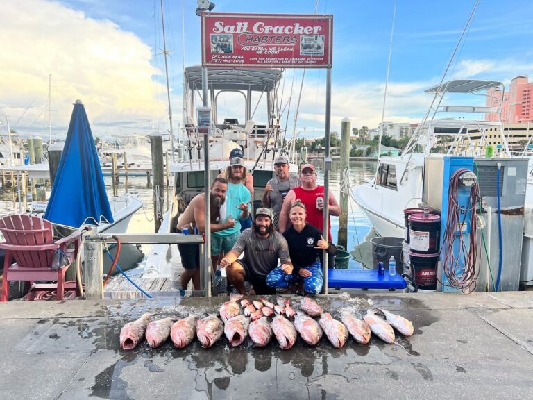 Understanding Gulf of Mexico Fishing Seasons and Species - Salt Cracker ...